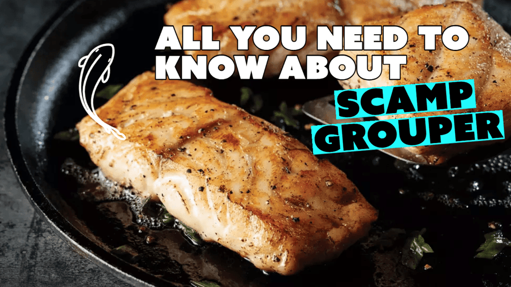 Scamp Grouper: A Delicious and Nutritious Seafood Option for Any Occas ...
