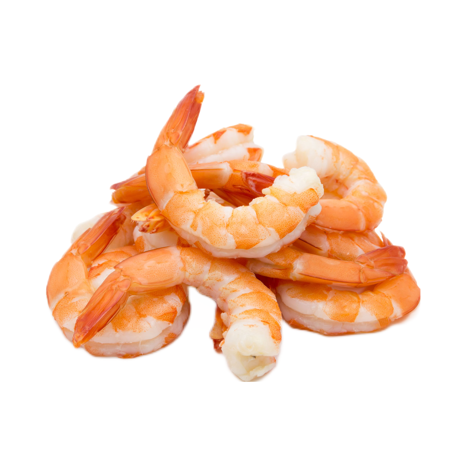 Fresh Catch Fish Company – Fresh Catch Fish Co.